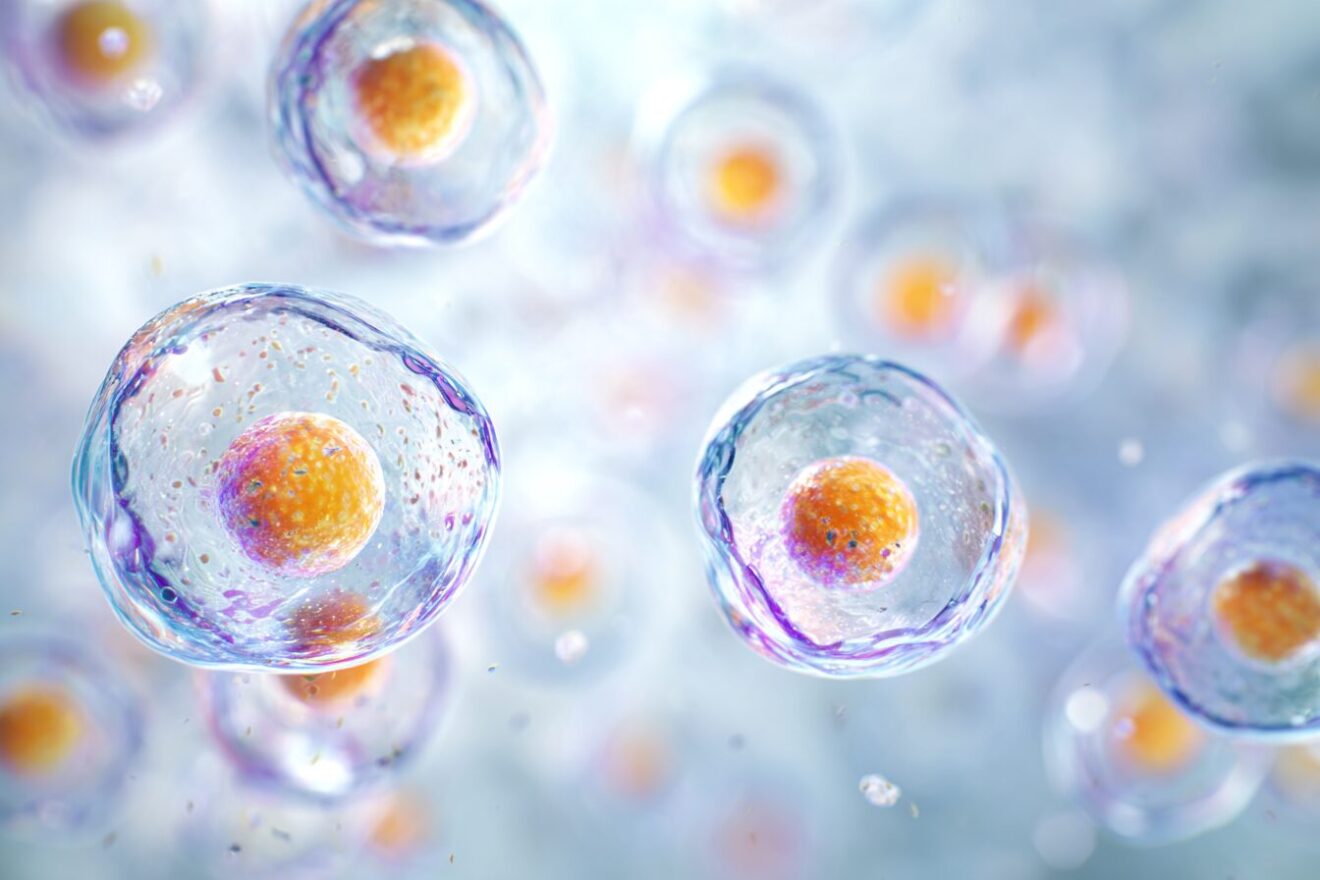 Why Skin Cell DNA Methylation Changes Faster Than in Other Organs ...
